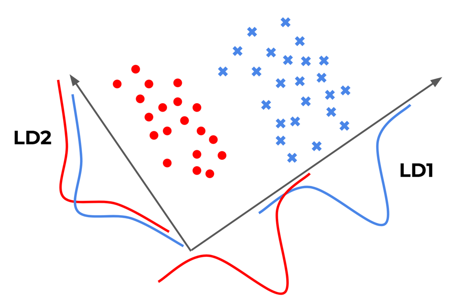 Hongwei Fan Studio - Personal Website of Hongwei Fan